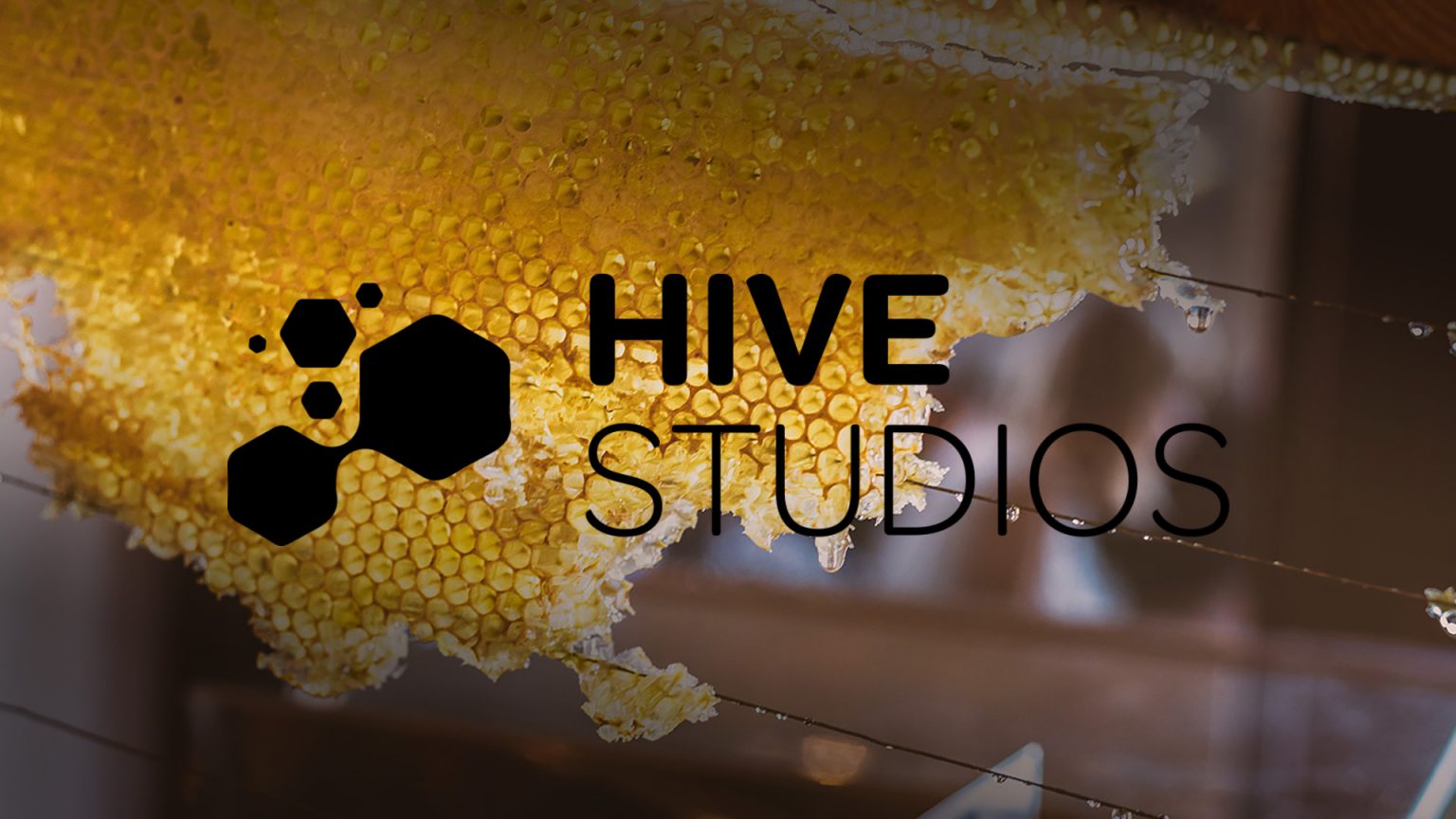 Willkommen bei HIVE Studios // Welcome to HIVE Studios - Adel & Link Public Relations
